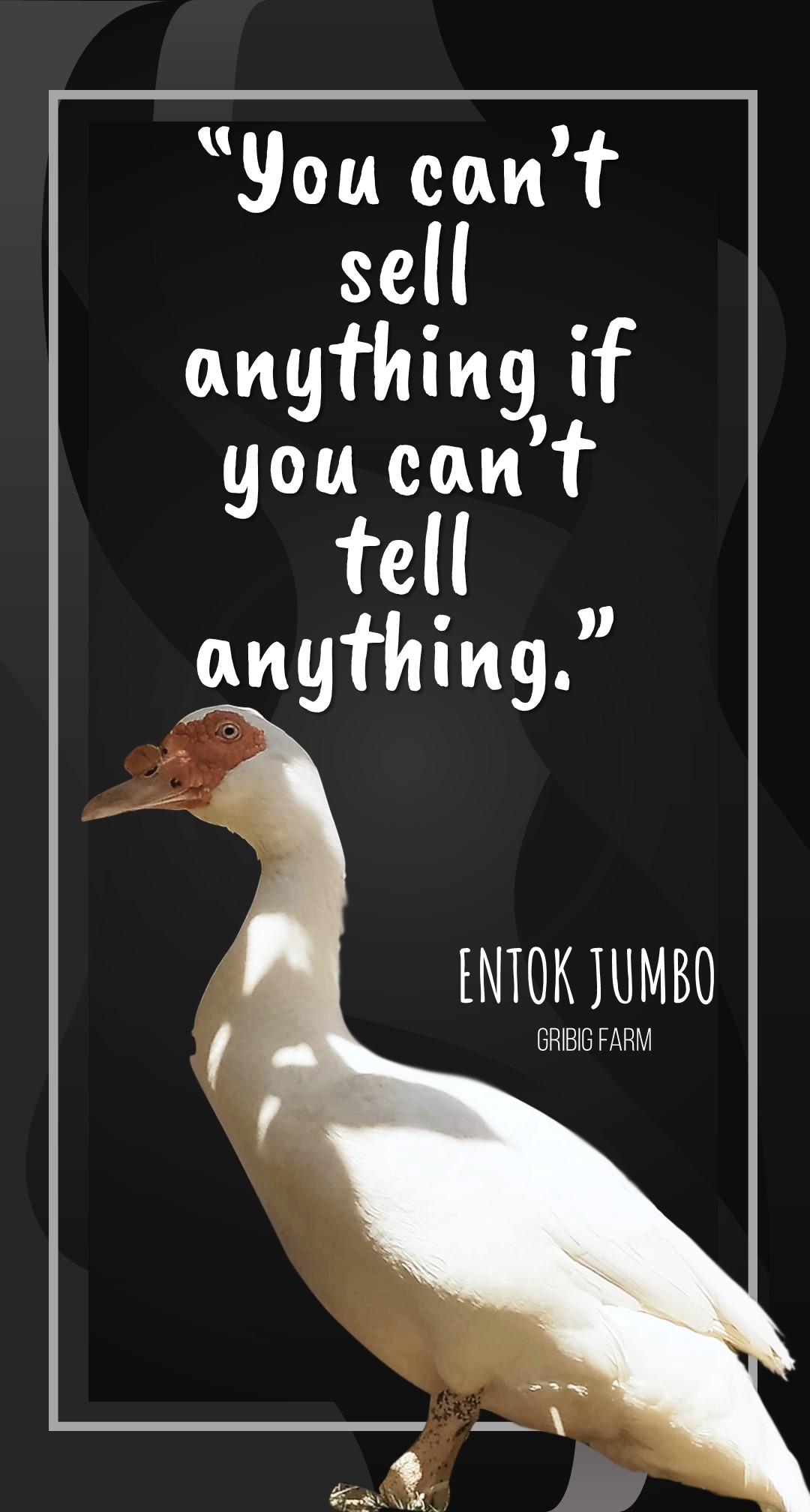 Memahami Jenis Mentog Rambon - Gribig.id